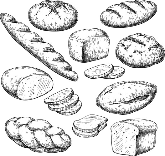 Bread Outline Vector Images (over 44,000)