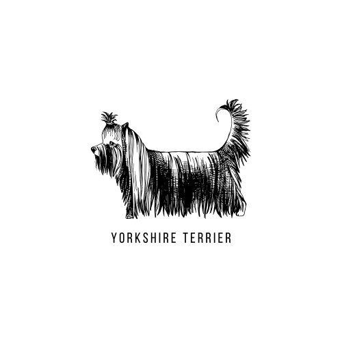 Yorkie Vector Images (over 540)