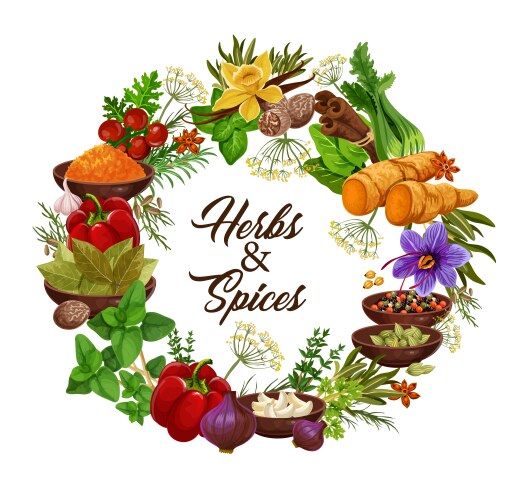 Herbs and spices icons Royalty Free Vector Image