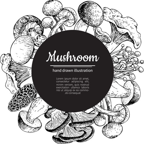 Mushroom Vector Images (over 110,000)