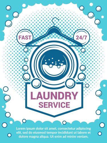 Laundry detergent ad poster stain remover package Vector Image