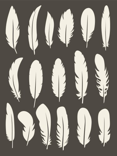 Feather Vector Images (over 290,000)
