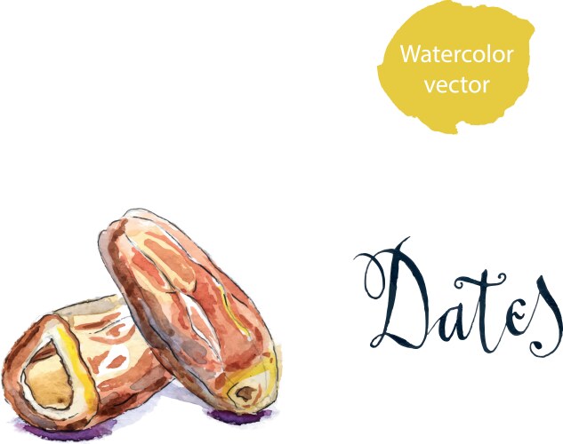 Sketch drawing dates fruits in clay bowl healthy Vector Image