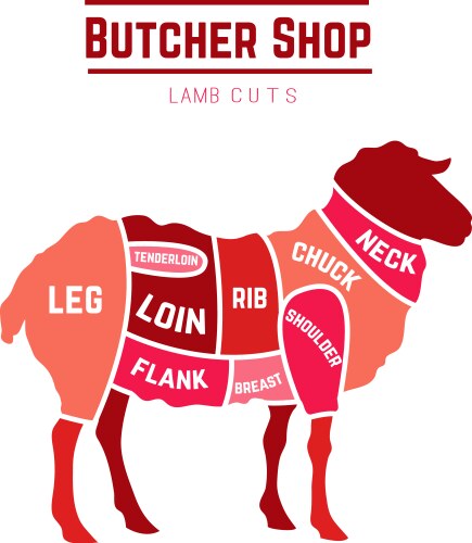 American cuts of lamb or mutton diagram Royalty Free Vector