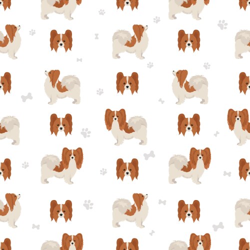 Papillon Vector Images (over 1,400)