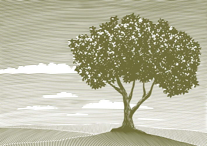 Woodcut trees Royalty Free Vector Image - VectorStock