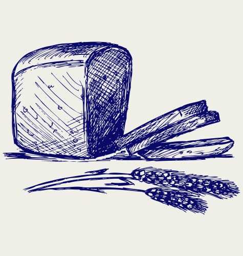 Rye bread Royalty Free Vector Image - VectorStock