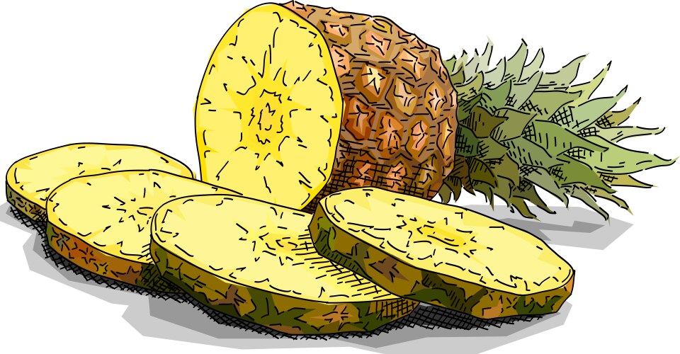 Pineapple Slice Vector Images (over 7,900)