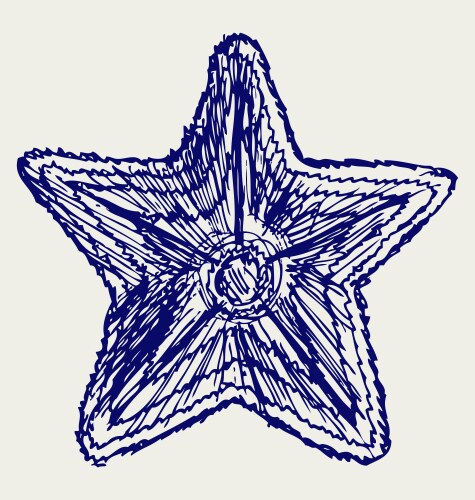 Starfish Vector Images (over 46,000)
