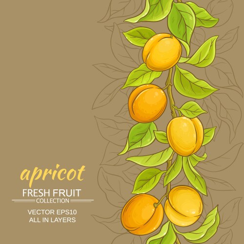 Apricot Vector Images (over 18,000)
