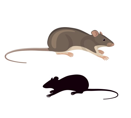 Mouse Vector Images (over 140,000)