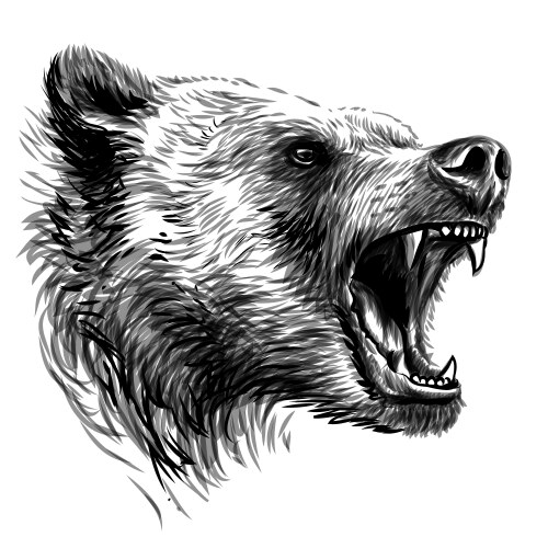 Growl Vector Images (over 7,900)