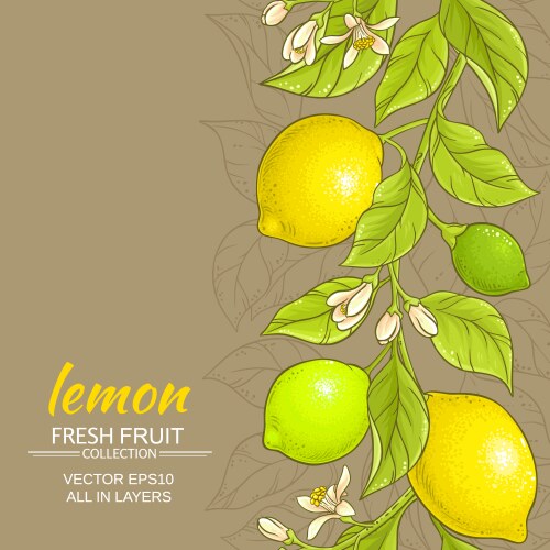 Lemon Vector Images (over 140,000)
