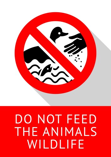 No Feeding Wildlife Vector Images (over 140)