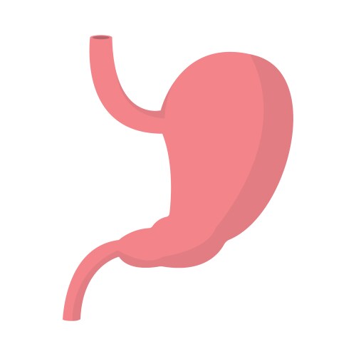 Free Stomach Vector Images (over 2,500)
