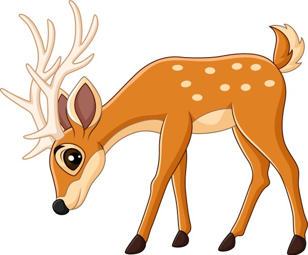 Cartoon deer isolated on white background Vector Image