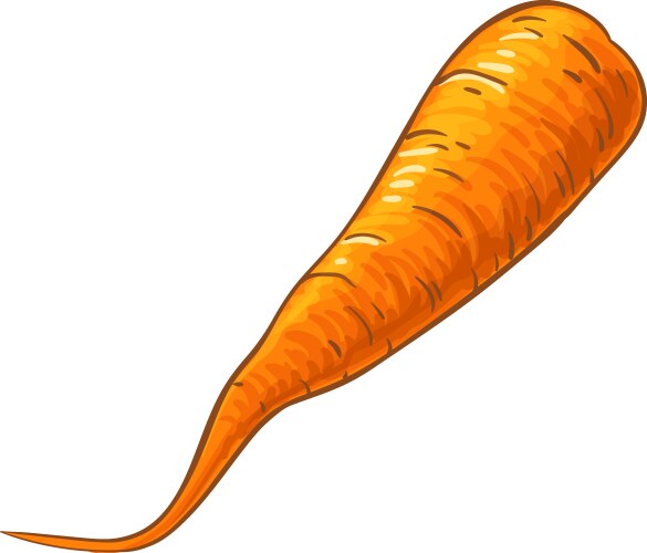 Carrot root vegetable cartoon Royalty Free Vector Image