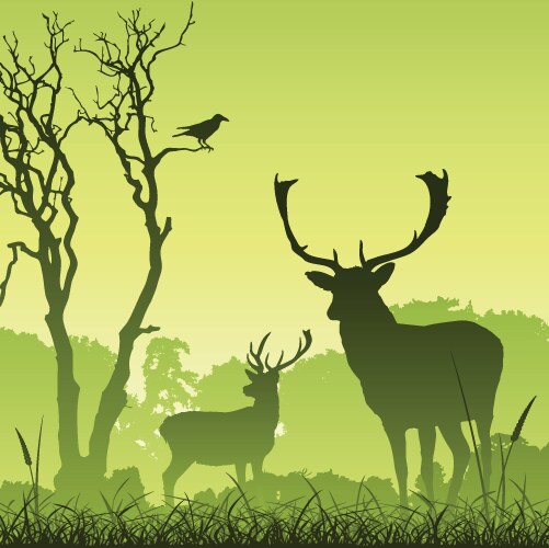 Deer Vector Images (over 130,000)