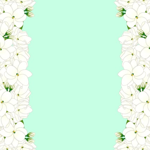 Mint Green Design Border