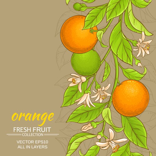 Green and Orange Background Vector Images (over 390,000)