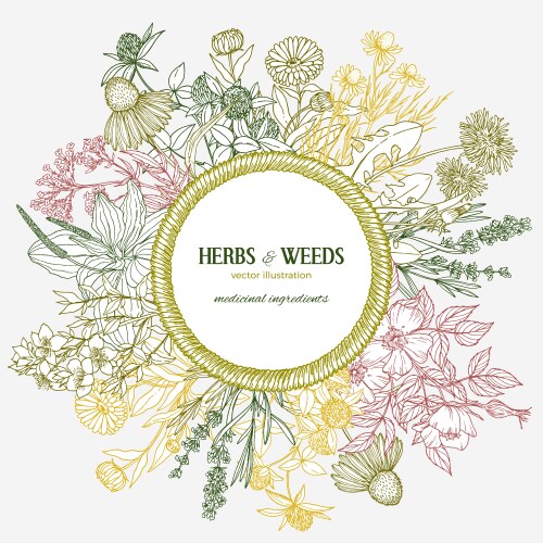 Flower Rope Vector Images (over 2,900)