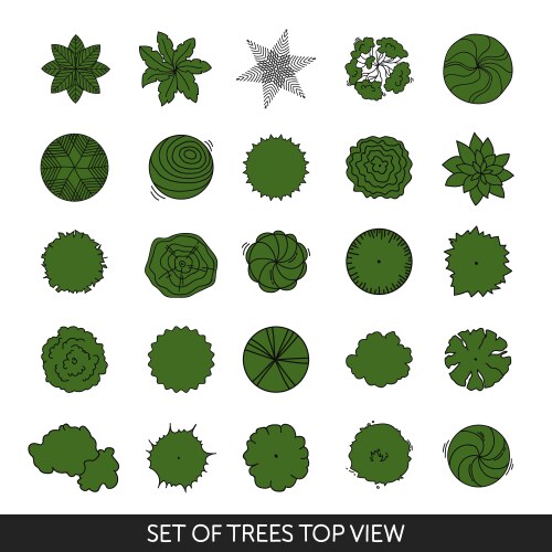Tree Plan Vector Images (over 10,000)