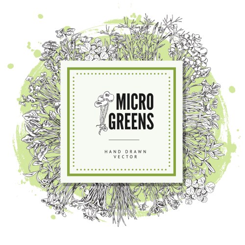 Microgreens Vector Images (over 1,500)