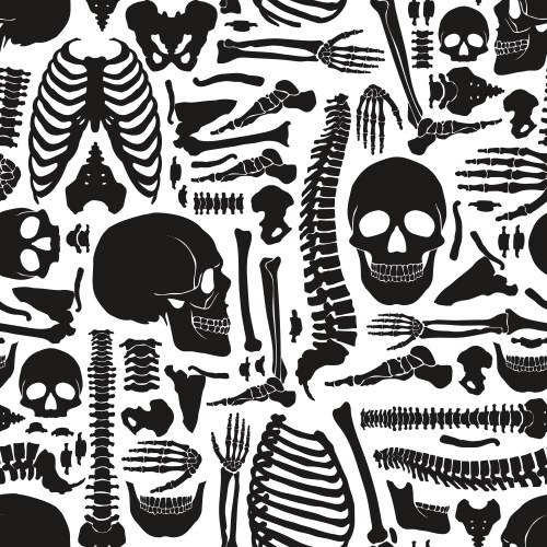 Human Skeleton Vector Images (over 68,000)