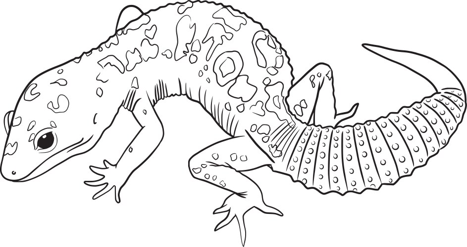 Gecko Drawing Outline Crested Gecko SVG Cut File For Cricut,