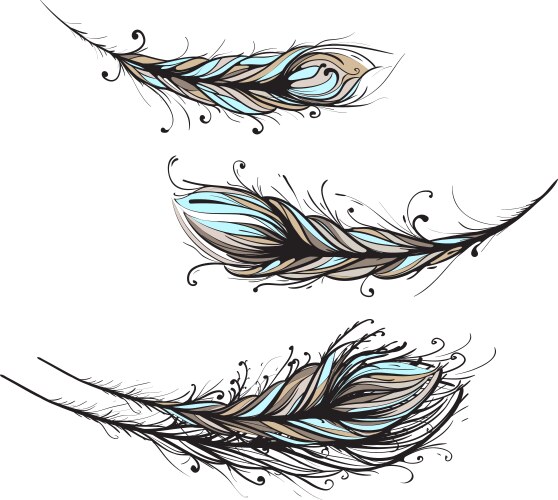 Feathers Vector Images (over 260,000)
