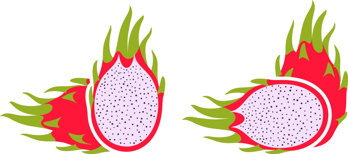 Whole and sliced dragon fruit Royalty Free Vector Image