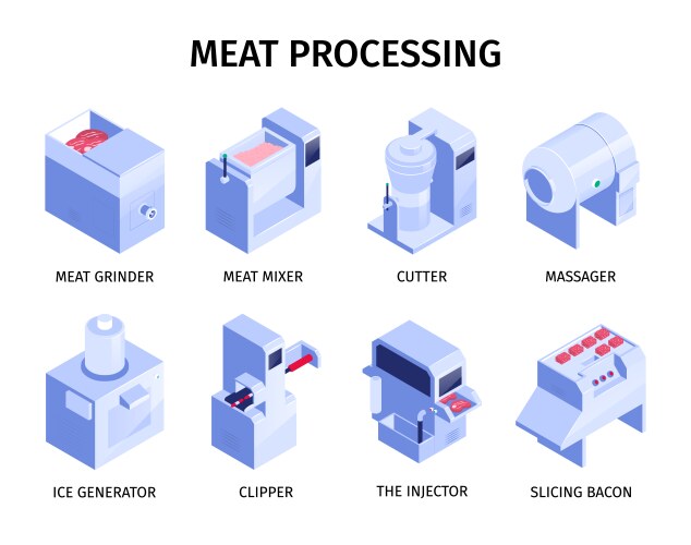 Meat processing steps from butchery to sausage Vector Image