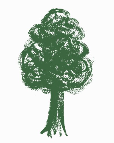 Tree Texture Vector Images (over 160,000)