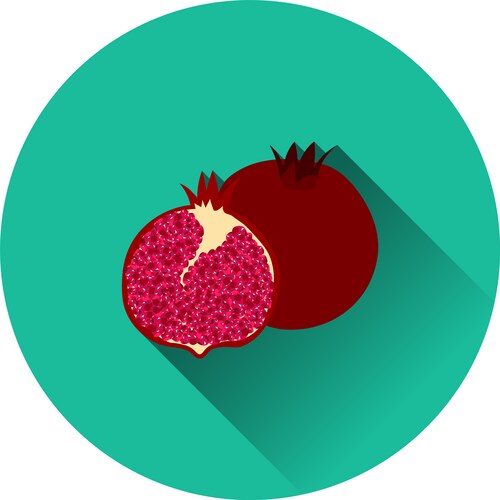 Detailed icon pomegranate Royalty Free Vector Image
