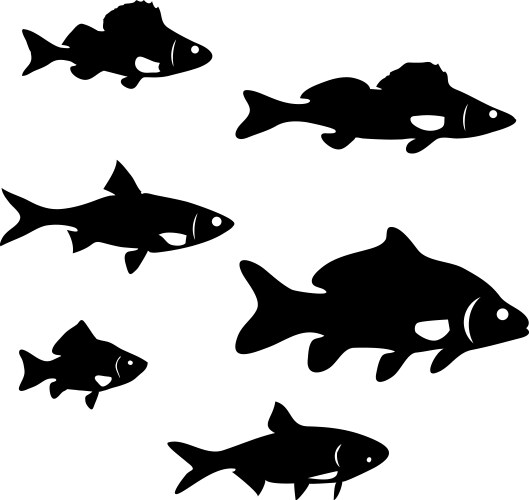 Trout Outline Vector Images (over 2,900)