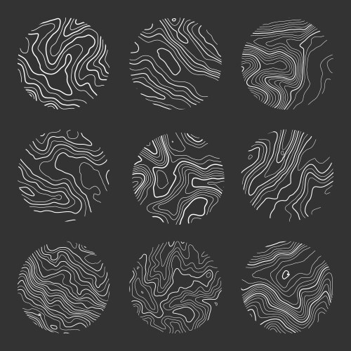 Topographic map mri of the human brain Royalty Free Vector