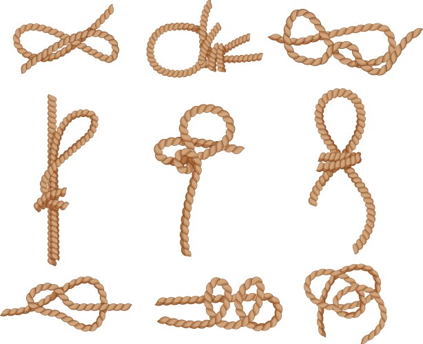 Secure rope knot cartoon Royalty Free Vector Image