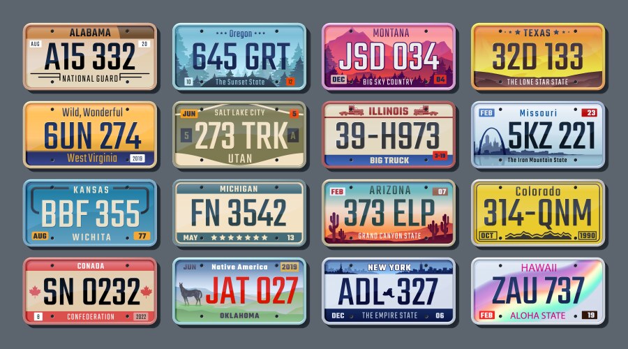 Usa american states vehicle registration plates Vector Image