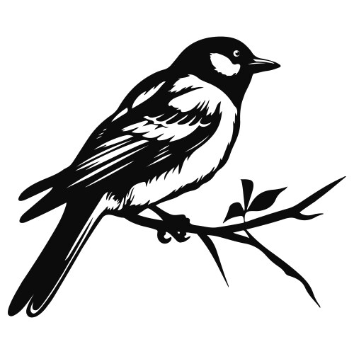 Free Bird Vector Images (over 18,000)