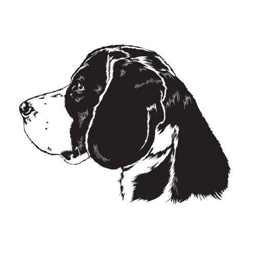 Free Dog Vector Images (over 12,000)