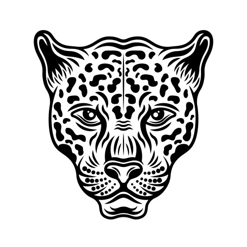 Jaguar Vector Images (over 17,000)