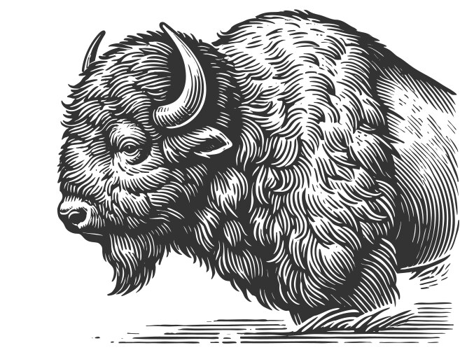 Buffalo Vector Images (over 50,000)