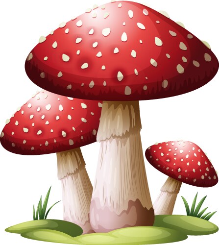 Button Mushroom Vector Images (over 2,300)