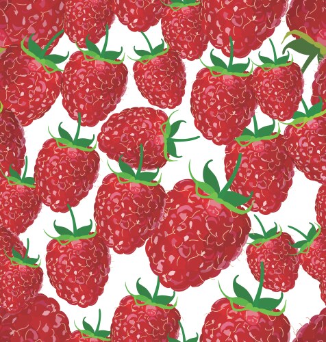 Raspberry pattern Royalty Free Vector Image - VectorStock