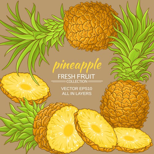 Pineapple Vector Images (over 51,000)