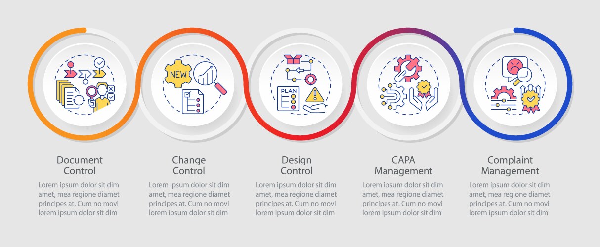Qms processes organization rectangle infographic Vector Image