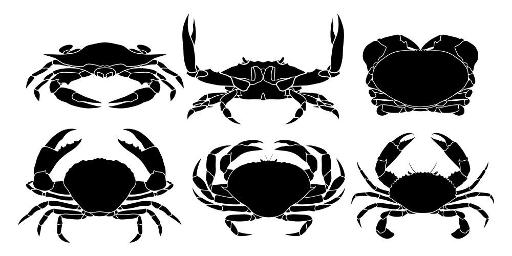 Alaskan king crab Royalty Free Vector Image - VectorStock