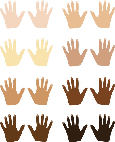 Skin tone infographic color table chart beauty Vector Image