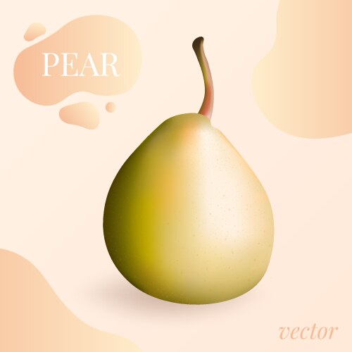 Realistic detailed 3d green whole pear and slices Vector Image