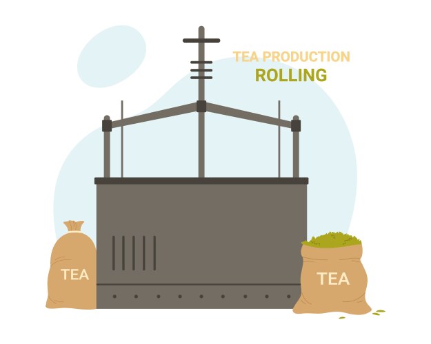 Workers tea harvesting Royalty Free Vector Image